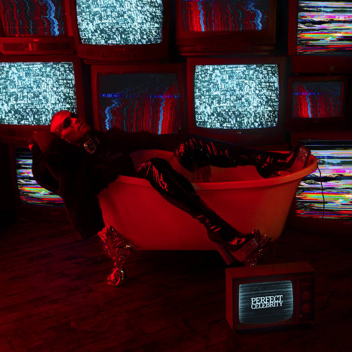 Perfect Celebrity - Single | Danny Blu