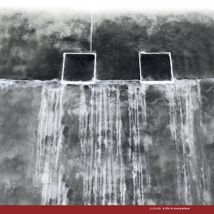 A Life Is Everywhere | Cindytalk