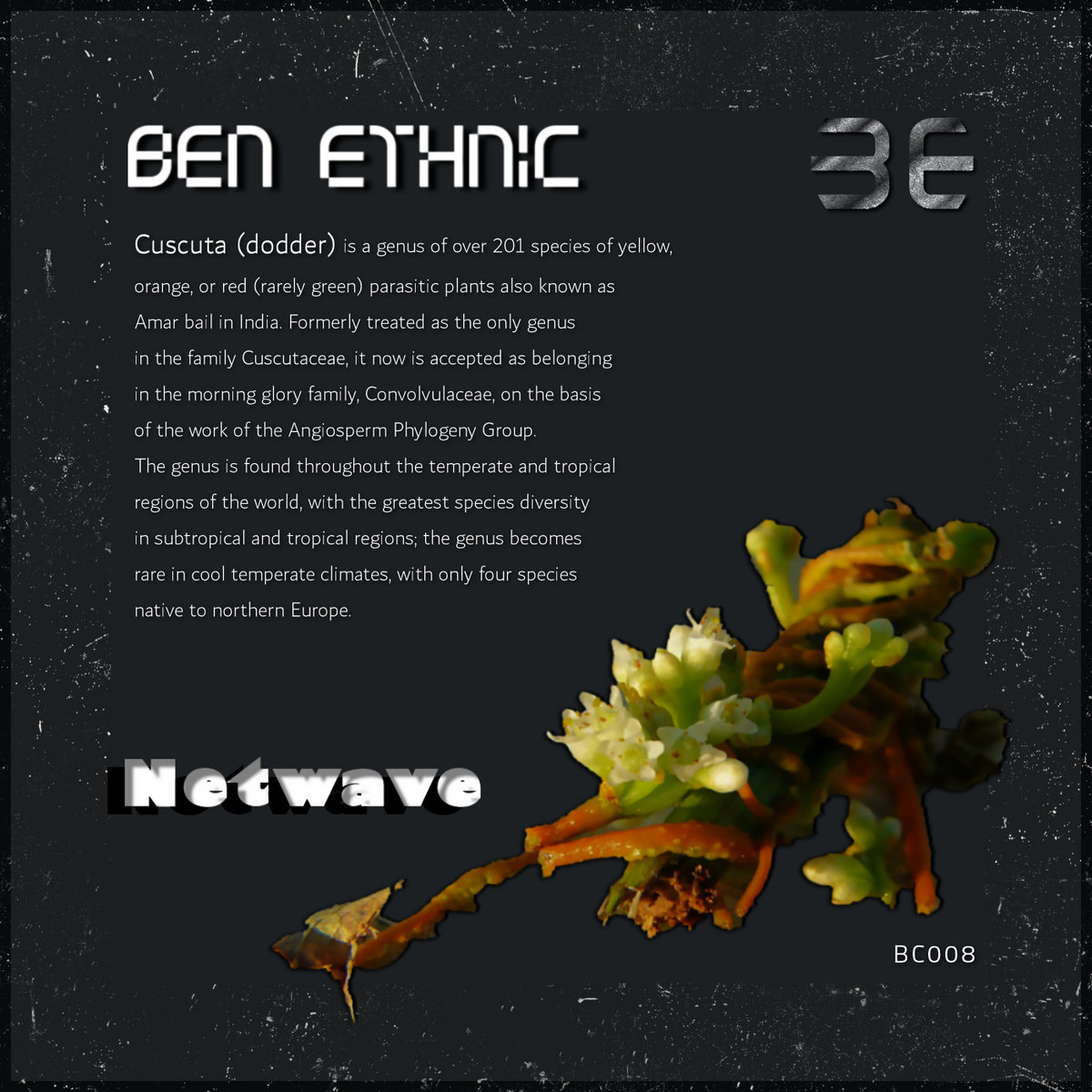 Netwave | Ben Ethnic