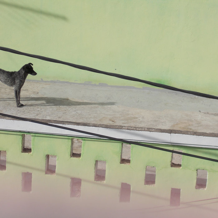 Calling the ME | charo calvo