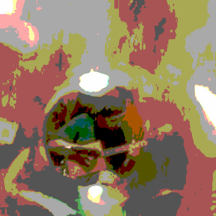 Primitive Recordings | Timothy Renner | Stone Breath