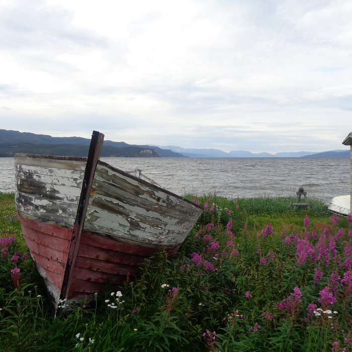 Having Some Fun | The Dropkicks