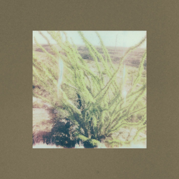 Light Flies Out of Us | Houser/Jacques/Montiel/Salinas/Weathers ...