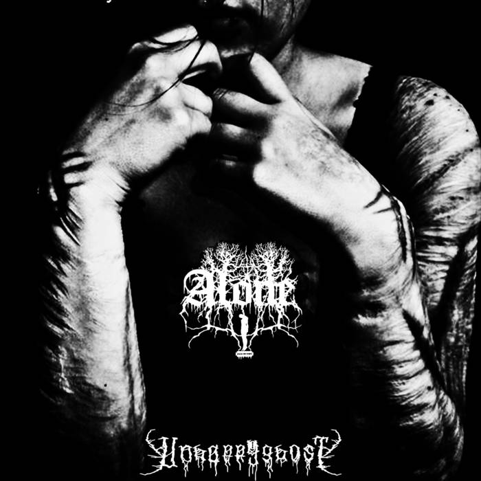 Depressive Black Metal Bands