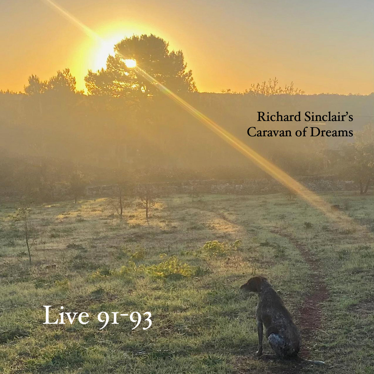 Live Tracks, Vol. 2 | Richard Sinclair's Caravan of Dreams | Richard ...
