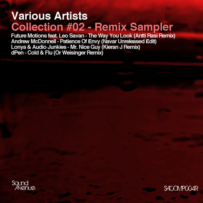Collection, Vol.2 (Remixes) | Various Artists | Sound Avenue