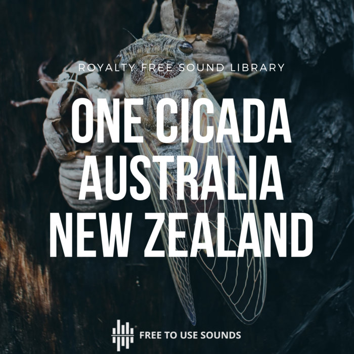 Symphony of Cicadas Australia and New Zealand | freetousesounds