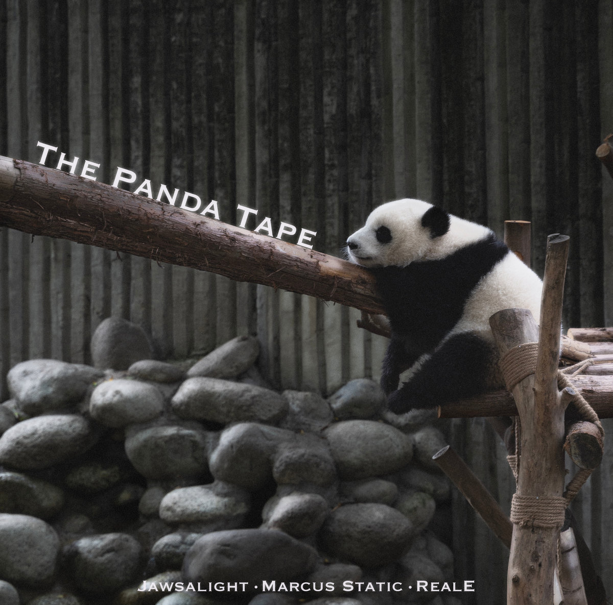 The Panda Tape | Jawsalight, Marcus Static, RealE | Panda Official