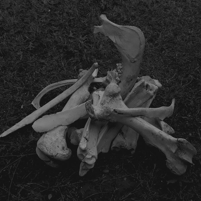 Rue Demo Vol. 1 | Rue | OKBM