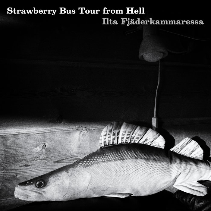 Ilta Fjäderkammaressa | Strawberry Bus Tour from Hell | Komitea