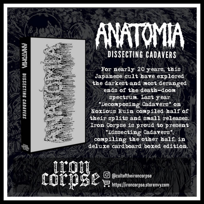 Dissecting Cadavers | ANATOMIA