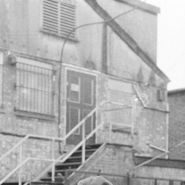 At Breakfast | Jack Cooper + Tara Cunningham | Tara Cunningham