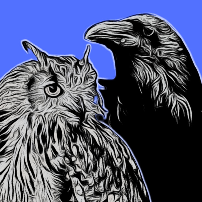 Owl And Crow | Two of Anyone