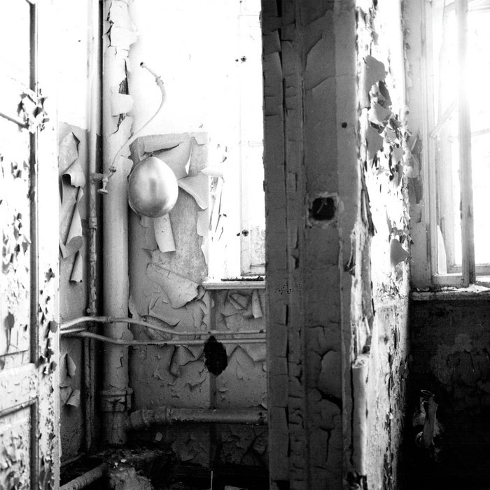 If Only You Could | Rooster Rampage