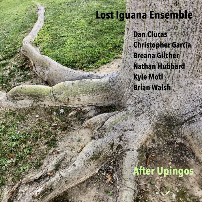 After Upingos | Lost Iguana Ensemble | Dan Clucas