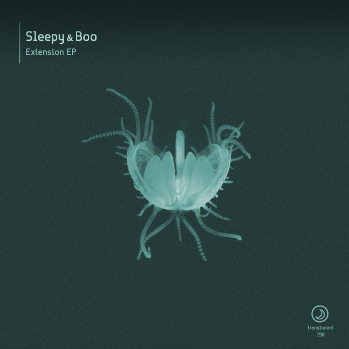 Extension EP | Sleepy & Boo | Translucent
