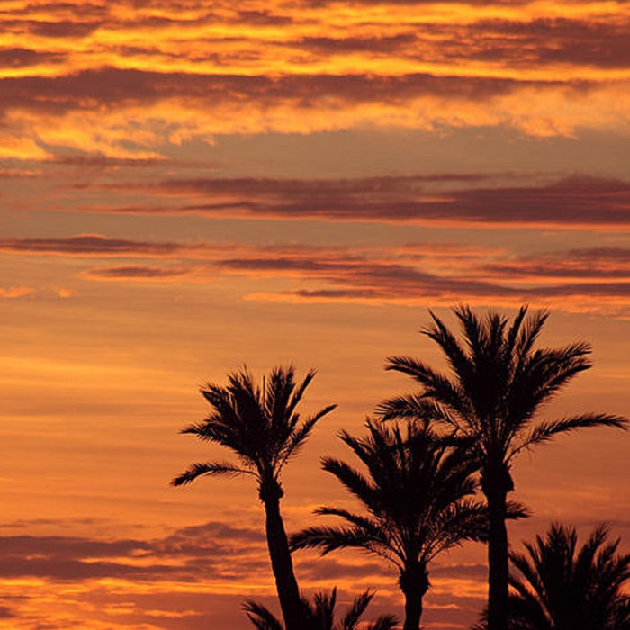 Moroccan Sky | Solar Ritual