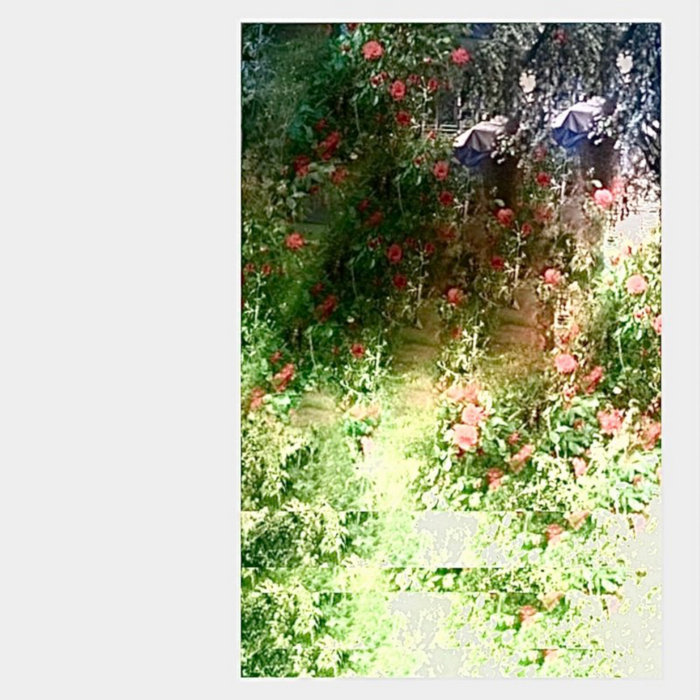 NoBrainer//Better Than A Poke In The Eye With A Sharp Stick | UNDERSKIN ...