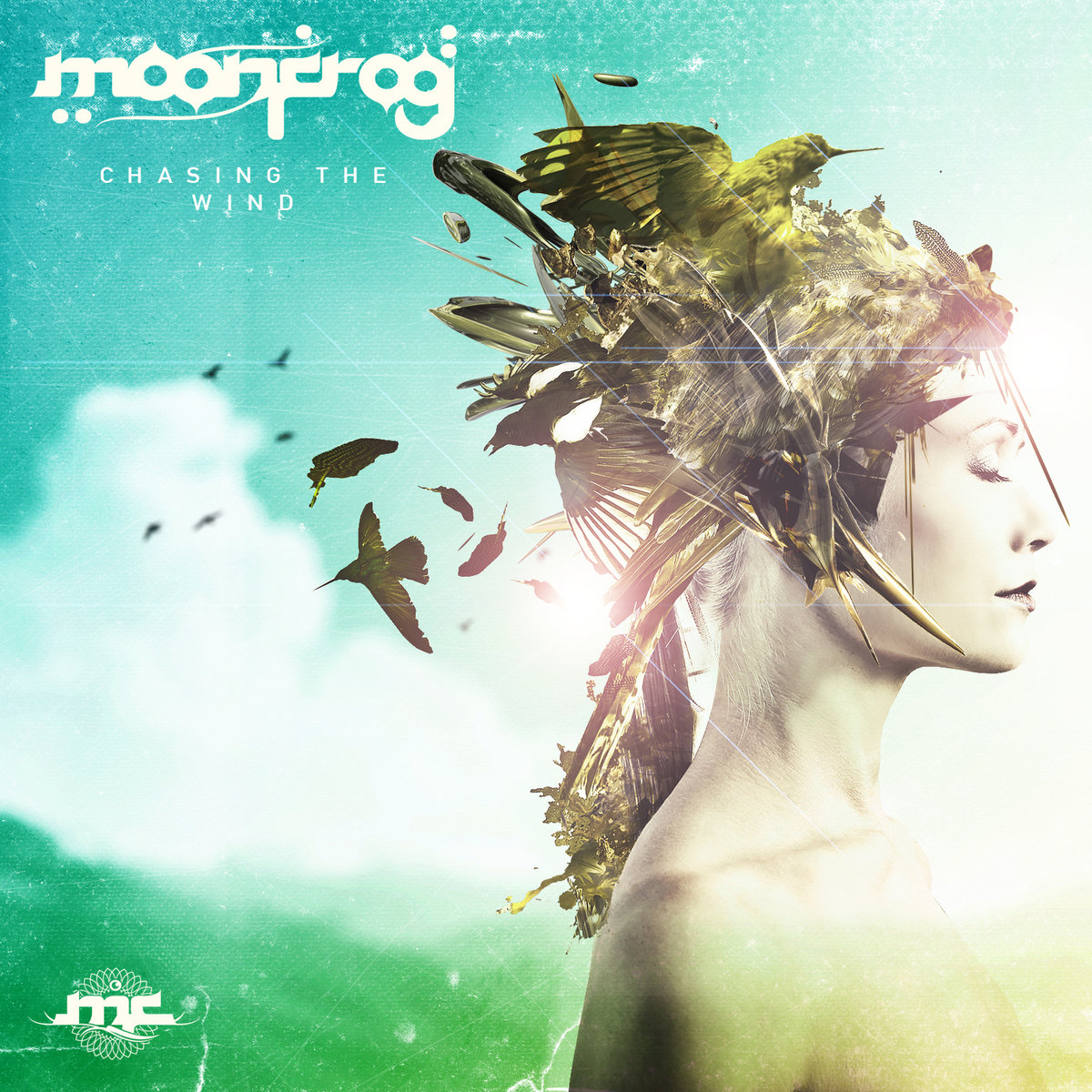 Chasing The Wind | Moon Frog