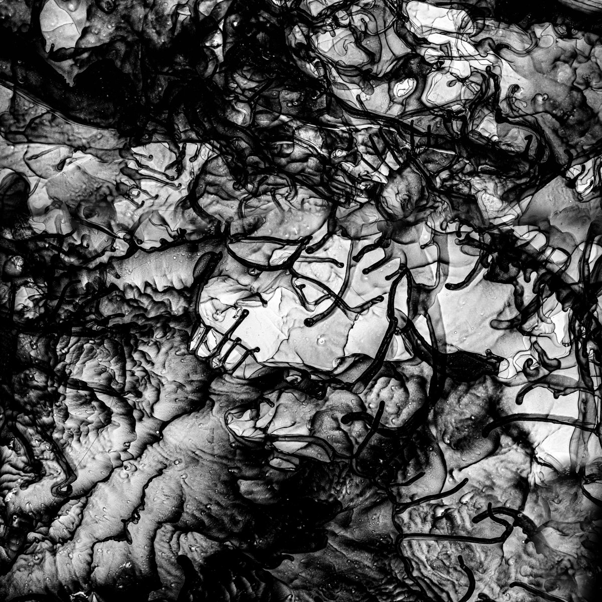 Sleeping Ink | Daniel Menche