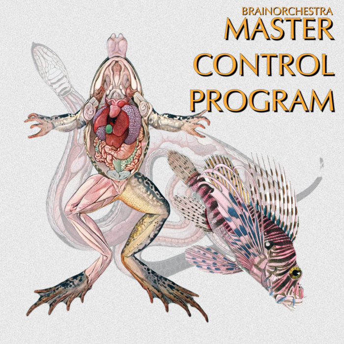 Master Control Program | brainorchestra | brainorchestra.