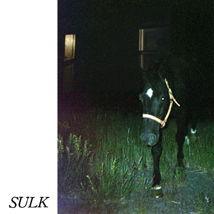 Sulk | sulk