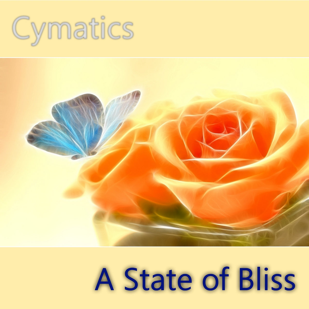 A State of Bliss | InnerSync