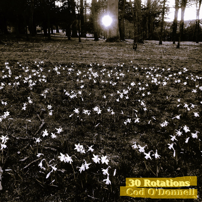 30 Rotations | Cod O'Donnell