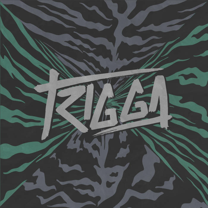 Trigga Album Cover