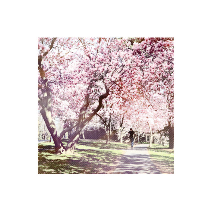 Awkward Situations | Andy Torrey