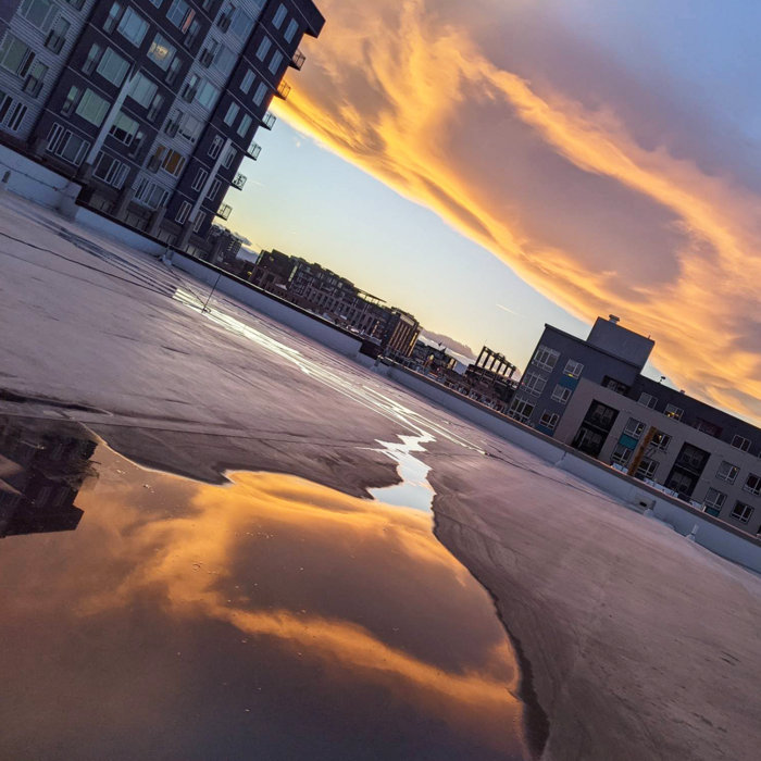 From Spirit to Simulation | BranMuffin