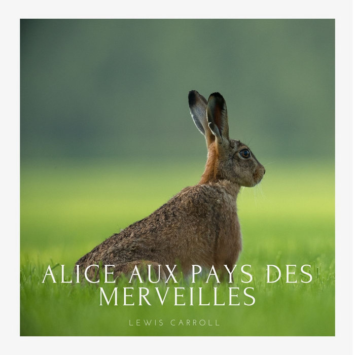 Alice au Pays des Merveilles | Damien Marquet | On raconte...
