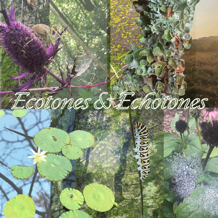 Ecotones and Echotones | blendways