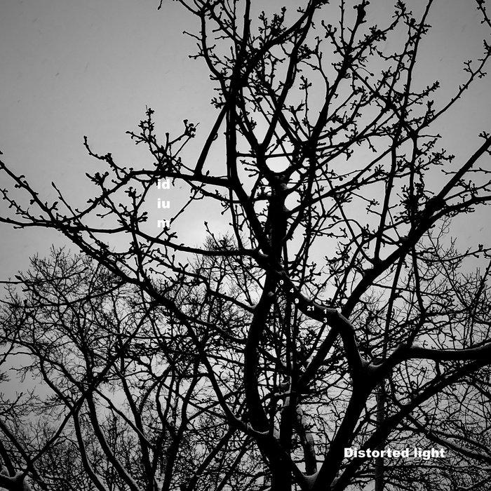 Distorted Light | Idium | Atypicaldigital