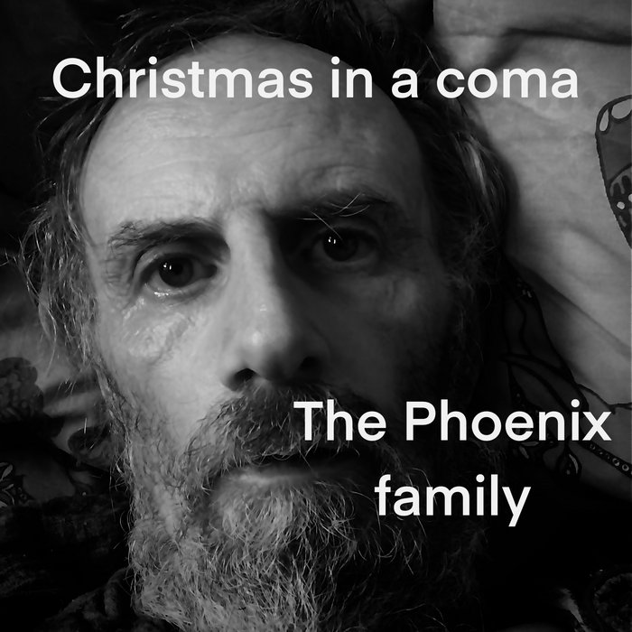 christmas in a coma | the phoenix family