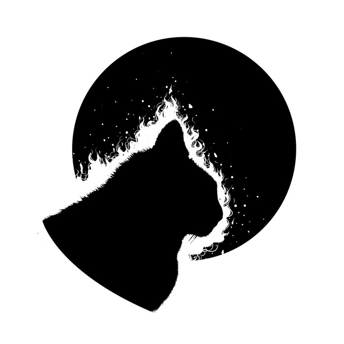 Killakee Cat | Ripya Hart