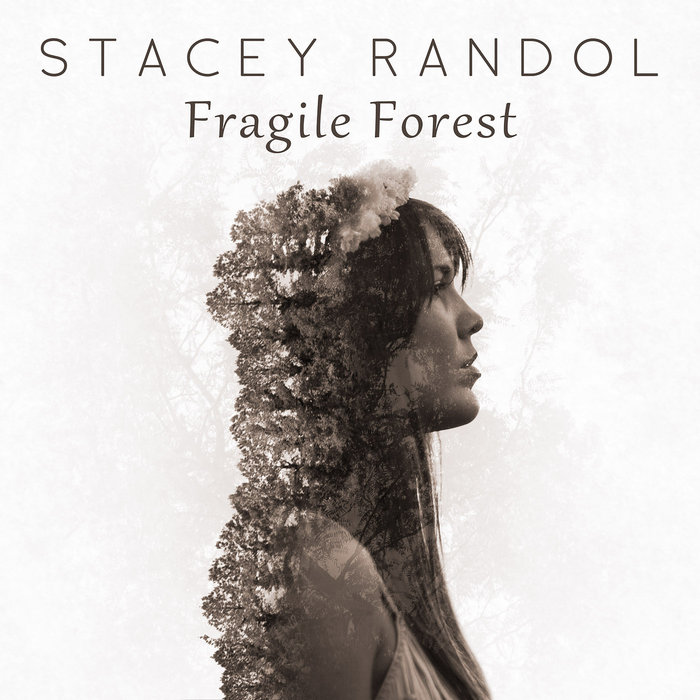 Fragile Forest | Stacey Randol