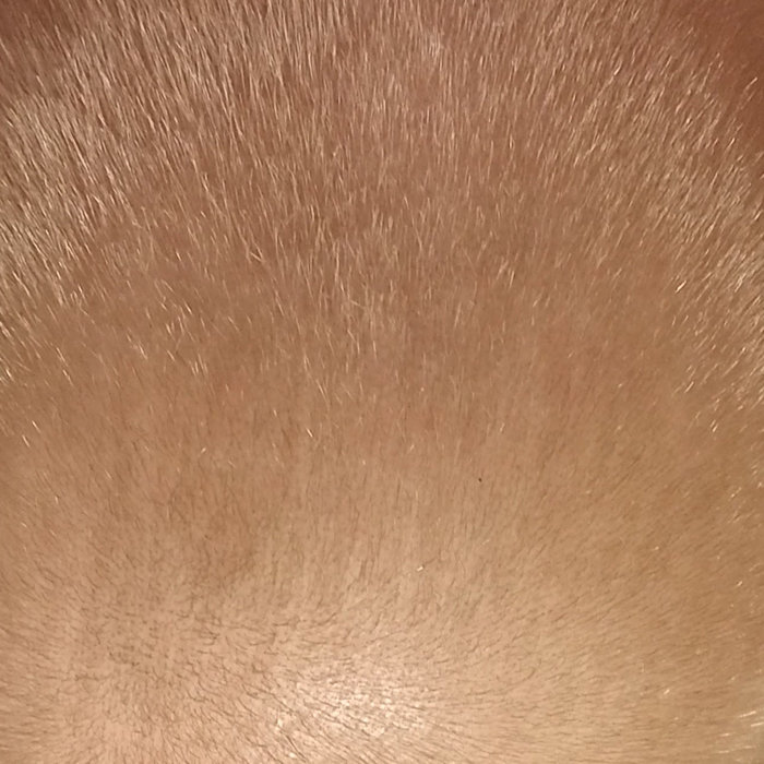 Growth | Who'd a Thunk?