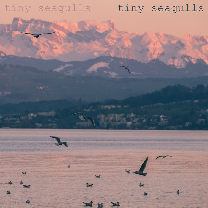 tiny seagulls | tiny seagulls