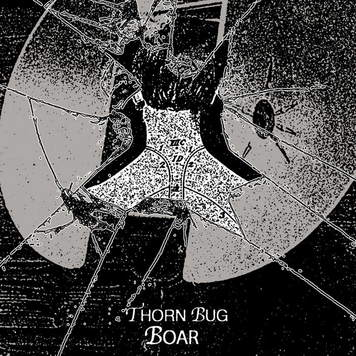 Thorn Bug / Boar | Thorn Bug / Boar | Mnemosyne Recordings