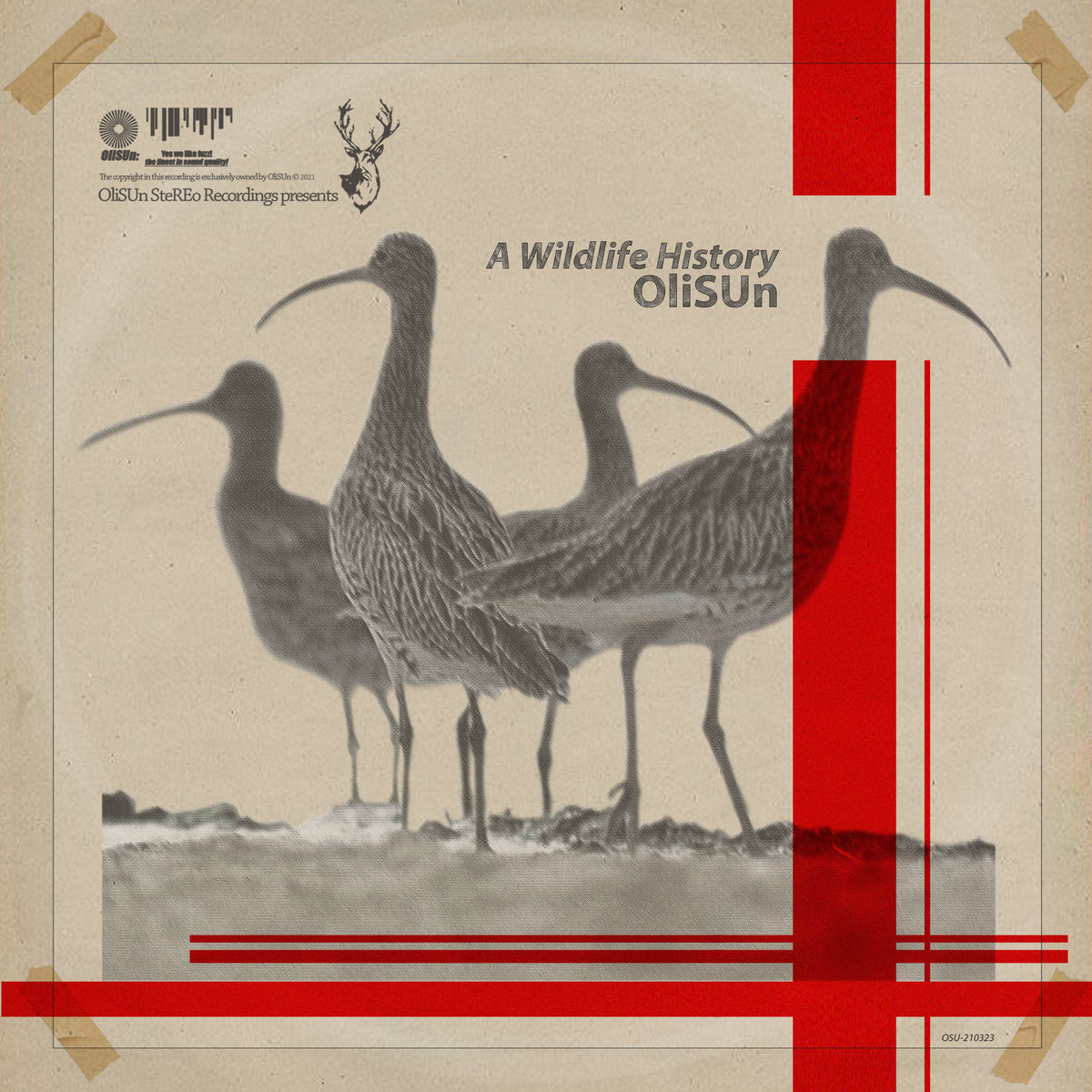 A Wildlife History | OliSUn | OliSun