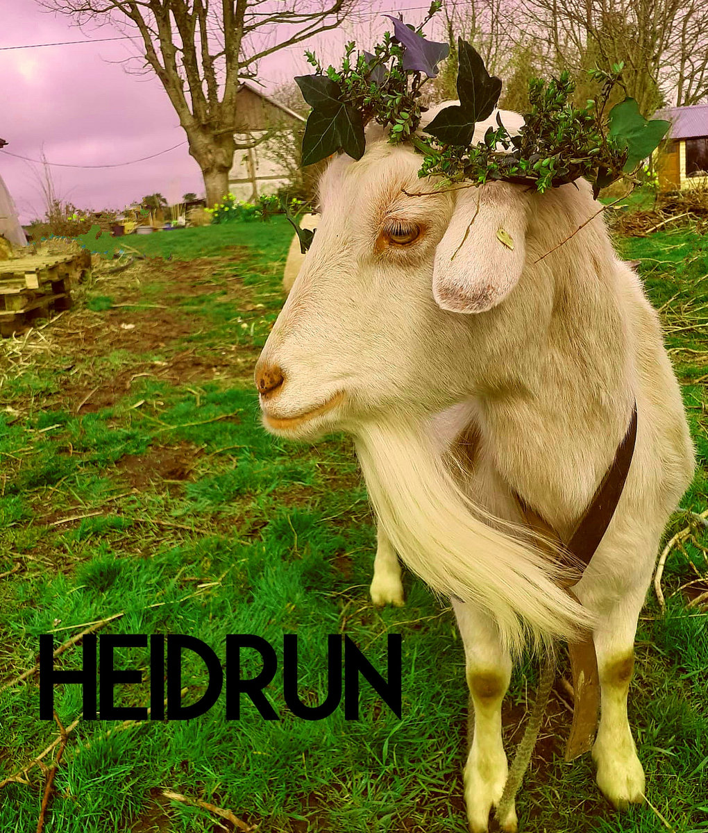 Heidrun | Luminous Rift