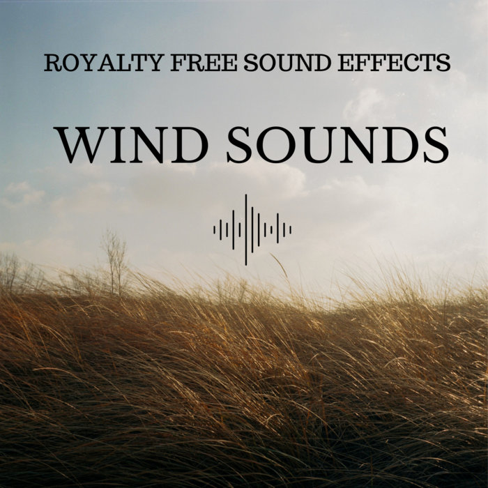 Wind Sound Effects | Aditya Ray