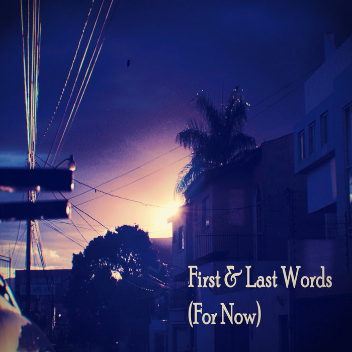 First & Last Words (For Now) | Dan Flex