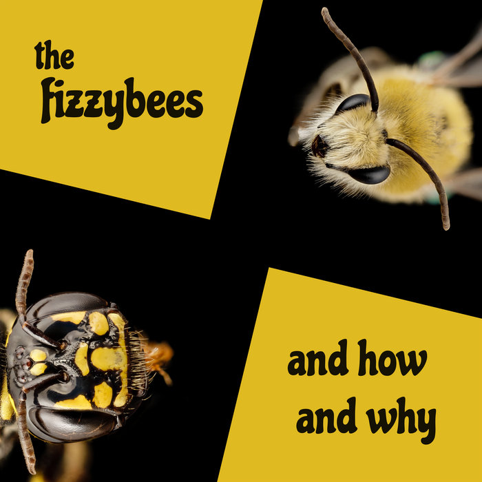 And How And Why | The Fizzybees
