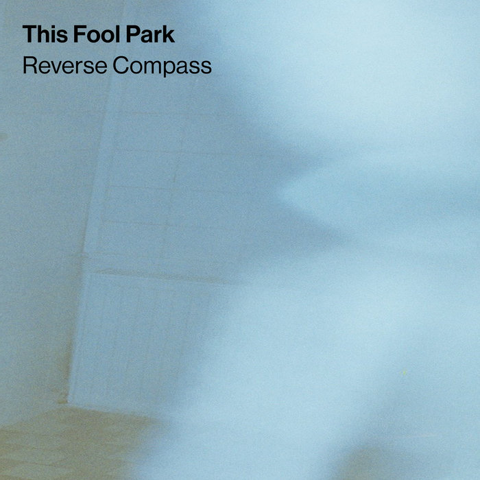 Reverse Compass | This Fool Park