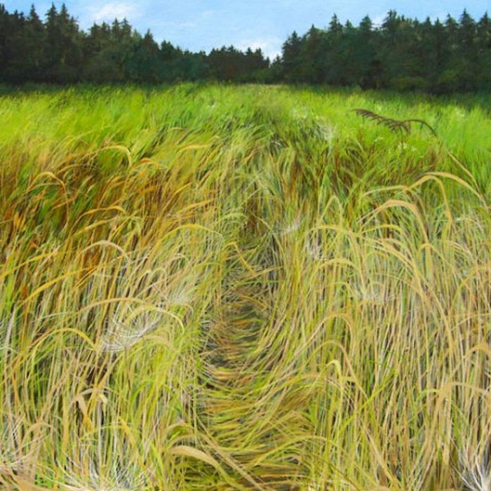 Allysen Callery and Myles Baer - How Did We Get Here | Forever Endeavor