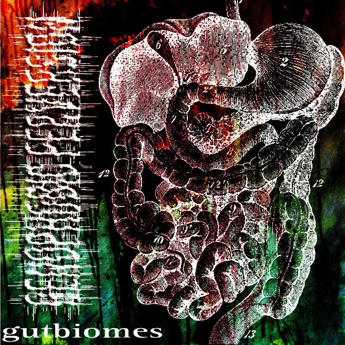 gutbiomes | Genophobic Perversion