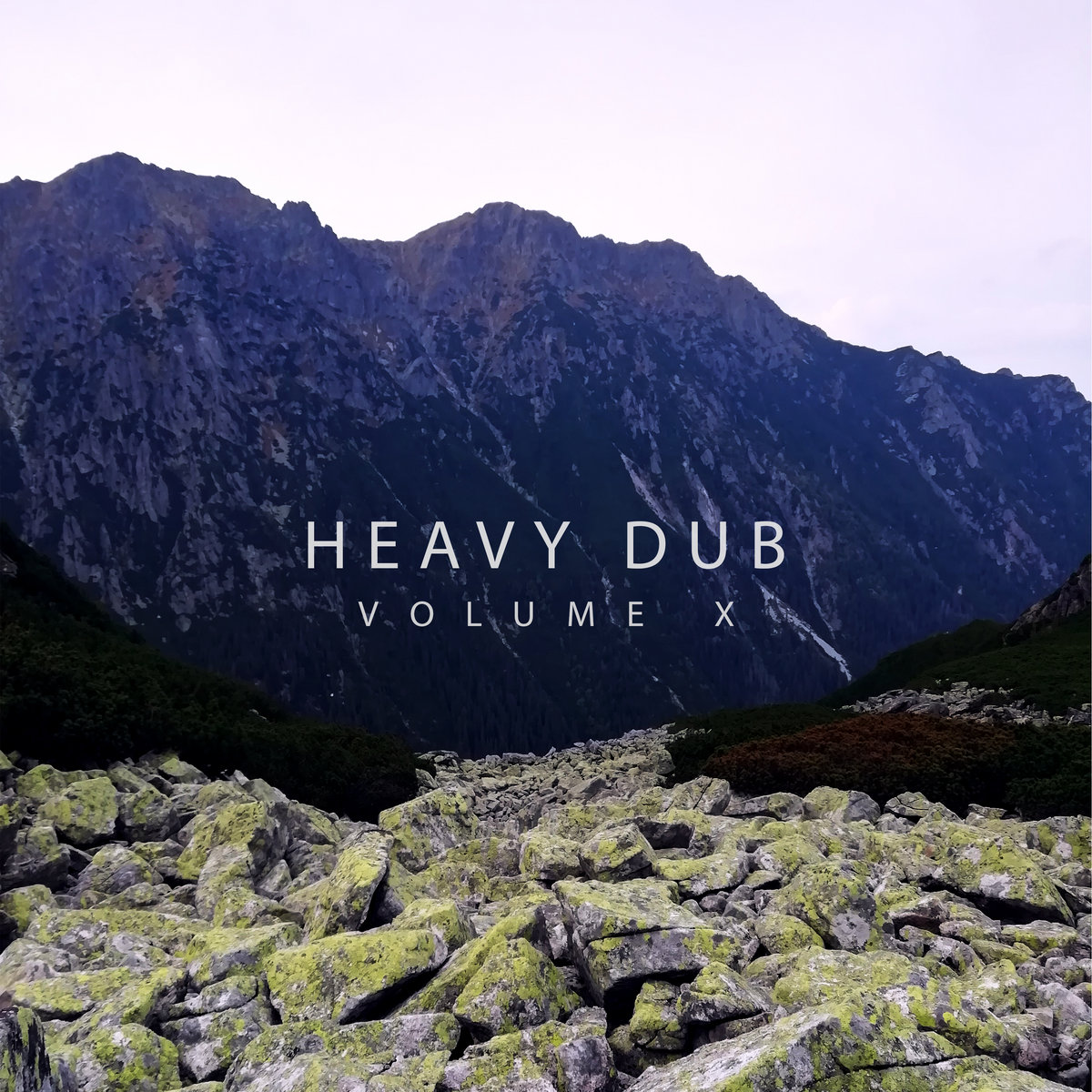 Heavy Dub Vol 10 Various Artists Cold Tear Records