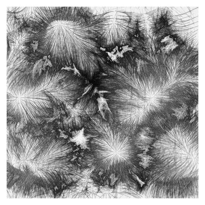 Flawed | Gaetha | Élan Vital